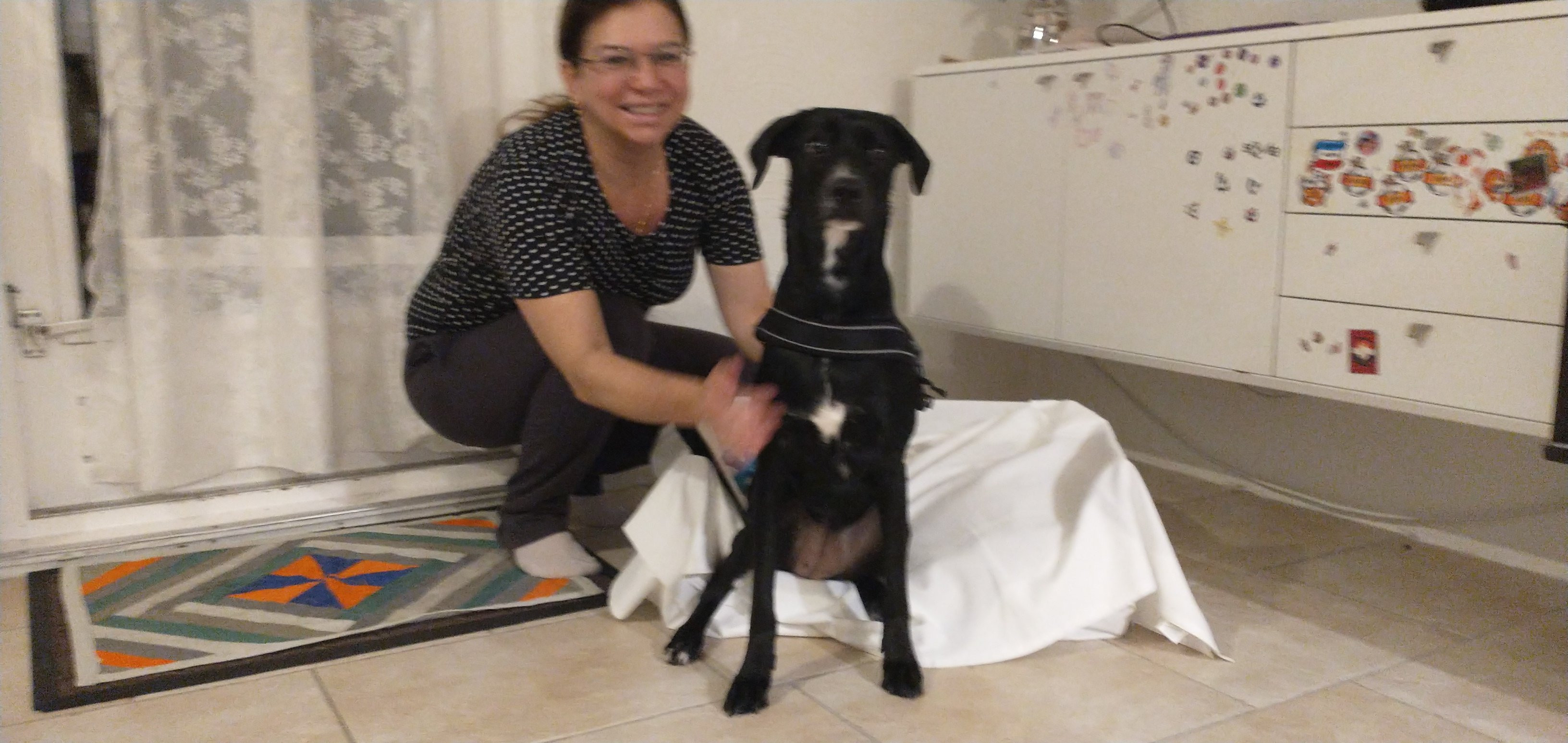 Simone | Dierenoppas in 2353, Leiderdorp | Petbnb